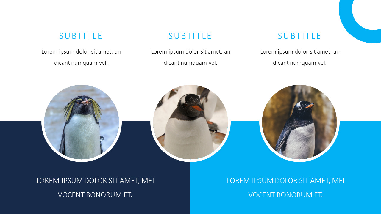 Penguin Google Slides mac|Animal
