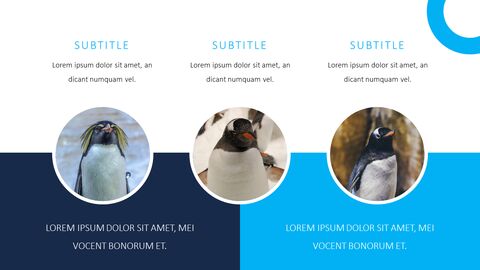 Penguin Google Slides mac|Animal