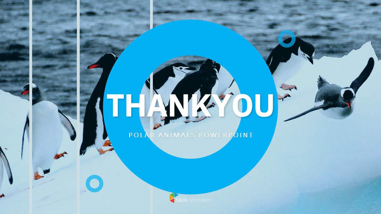 Penguin Google Slides mac|Animal