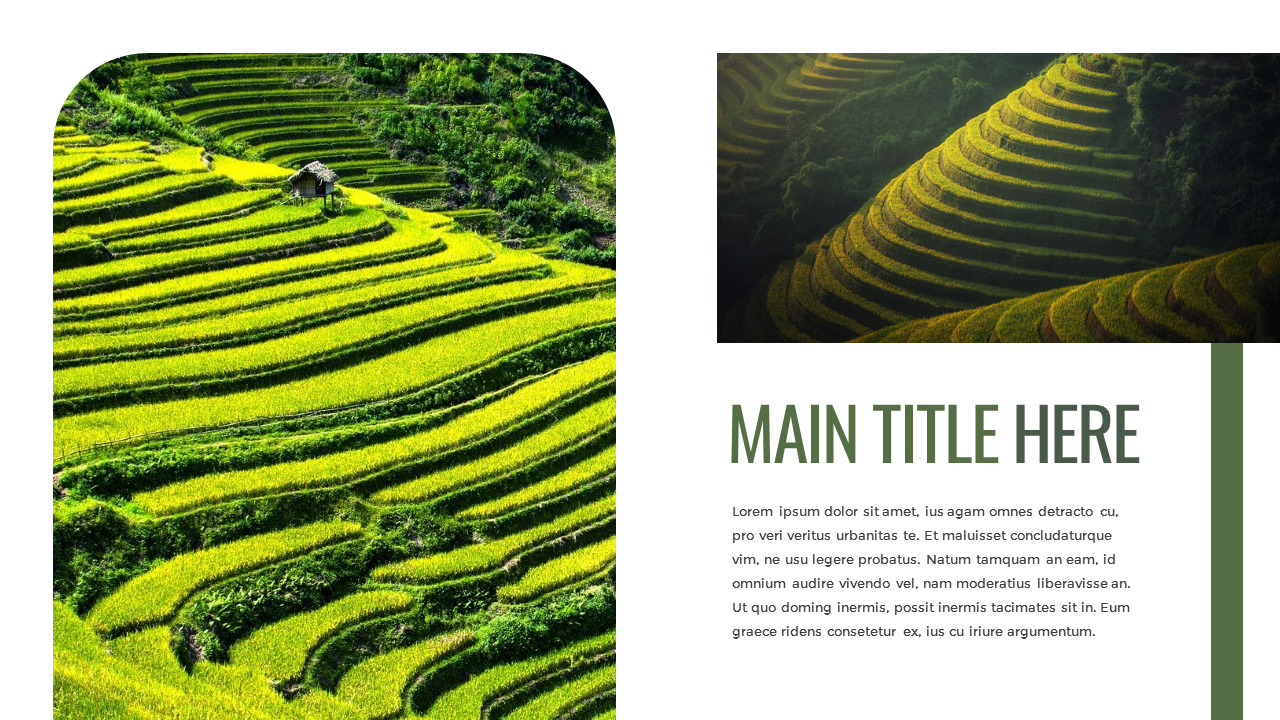 Rice Terrace Google Slides for mac|Nature
