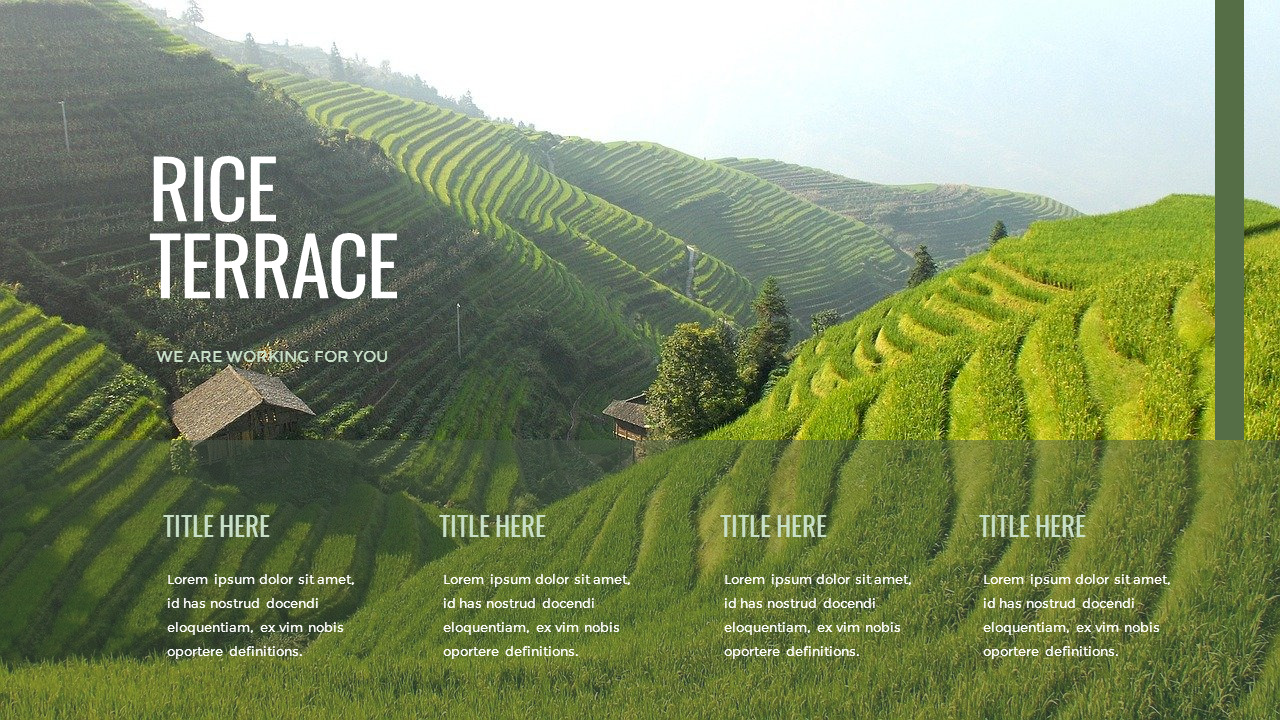 Rice Terrace Google Slides for mac|Nature