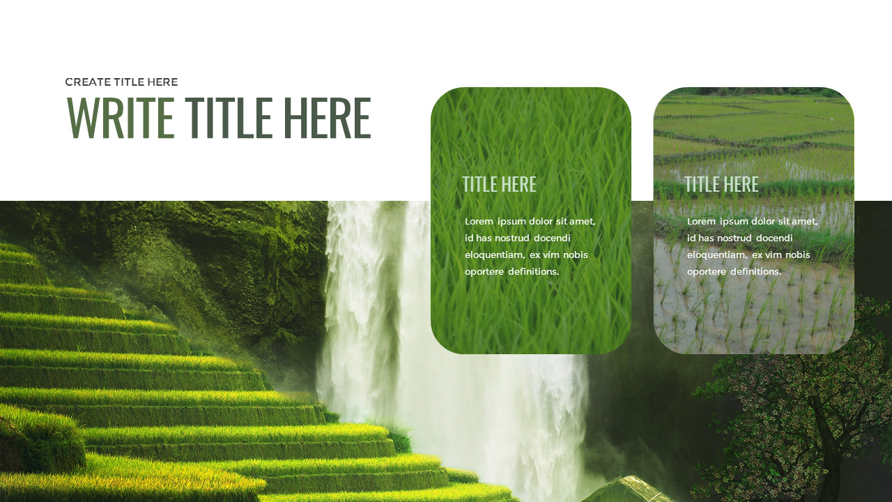Rice Terrace Google Slides for mac|Nature