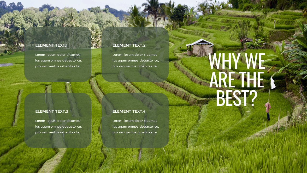 Rice Terrace Google Slides for mac|Nature