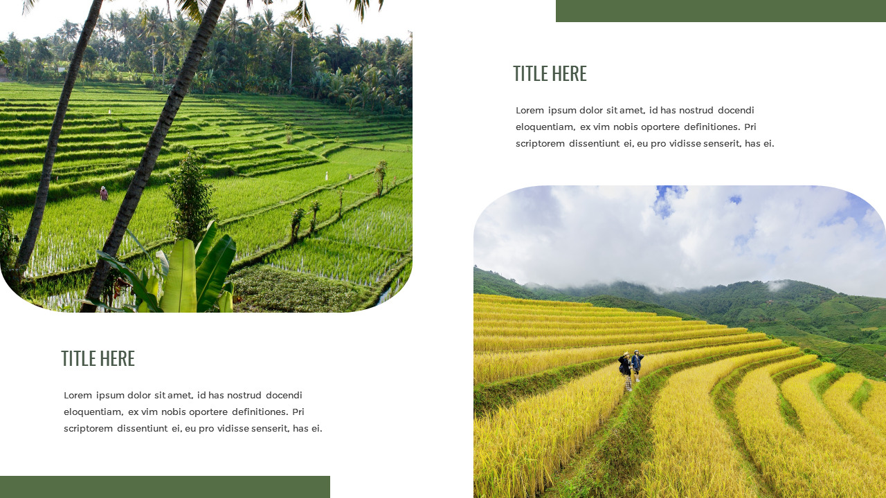 Rice Terrace Google Slides for mac|Nature