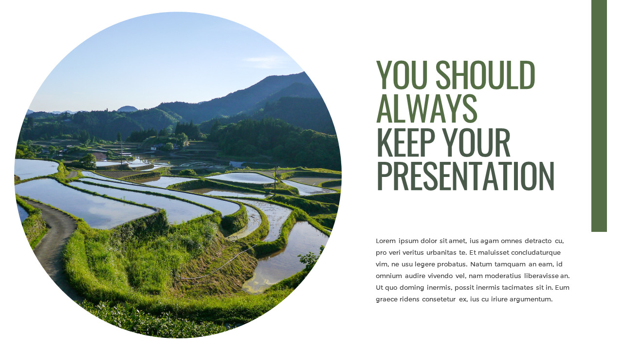 Rice Terrace Google Slides for mac|Nature