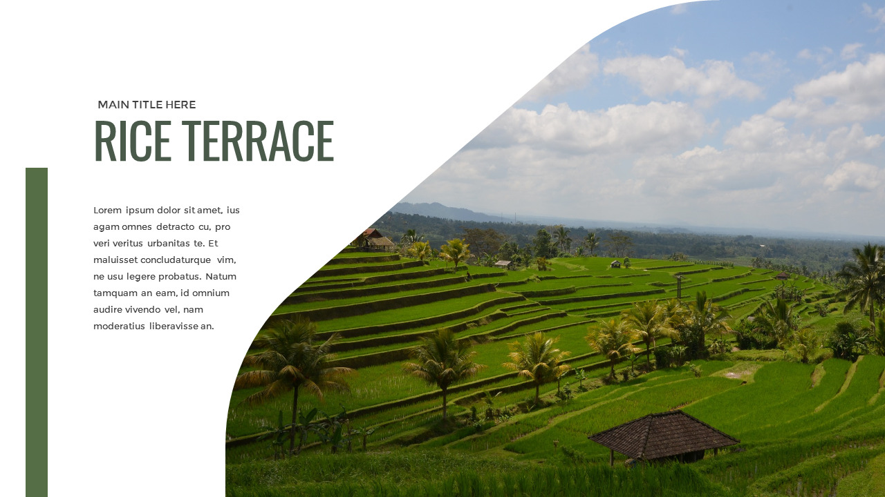 Rice Terrace Google Slides for mac|Nature