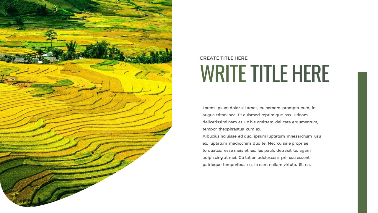 Rice Terrace Google Slides for mac|Nature
