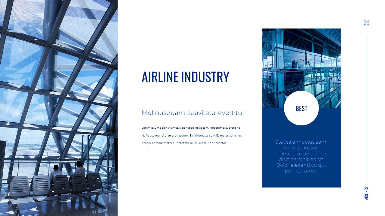 Marketing Strategies for Airlines professional presentation