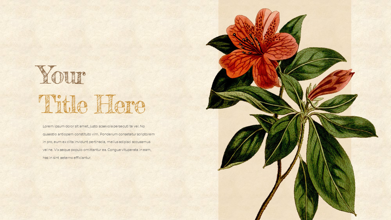 Vintage Flower Best Google Slides|Lifestyle