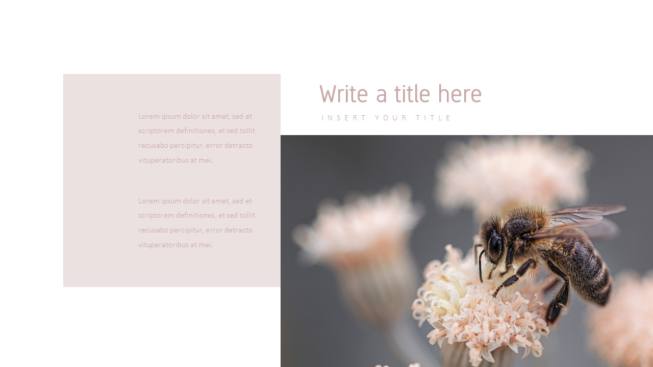 Flower & Bee company profile template design|Lifestyle|PPT