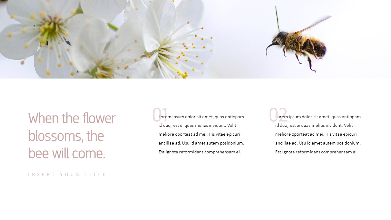 Flower & Bee company profile template design|Lifestyle|PPT