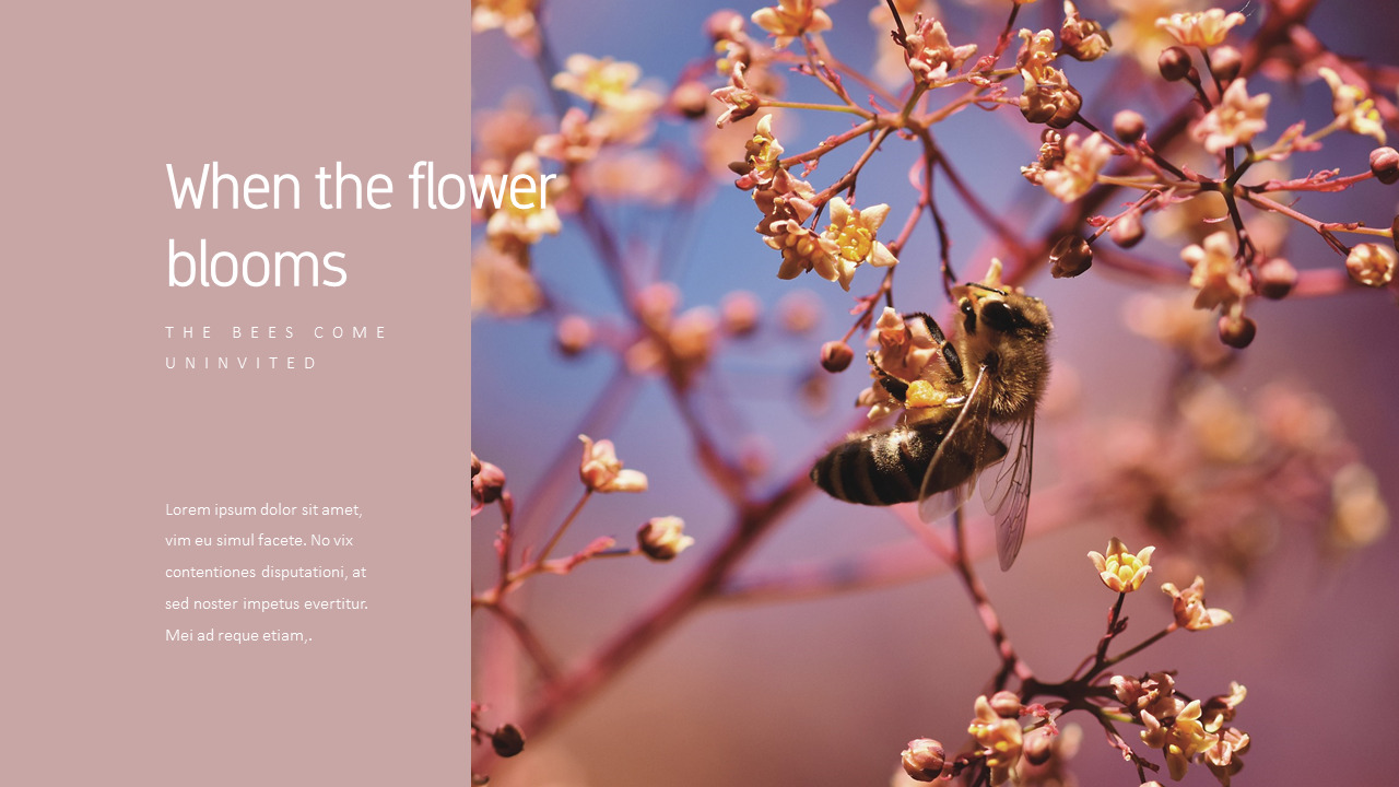 Flower & Bee company profile template design|Lifestyle|PPT