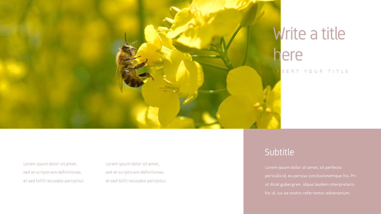 Flower & Bee company profile template design|Lifestyle|PPT
