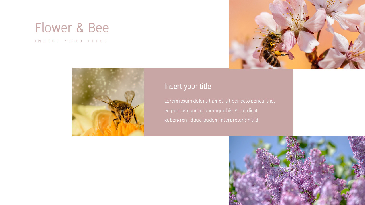 Flower & Bee company profile template design|Lifestyle|PPT