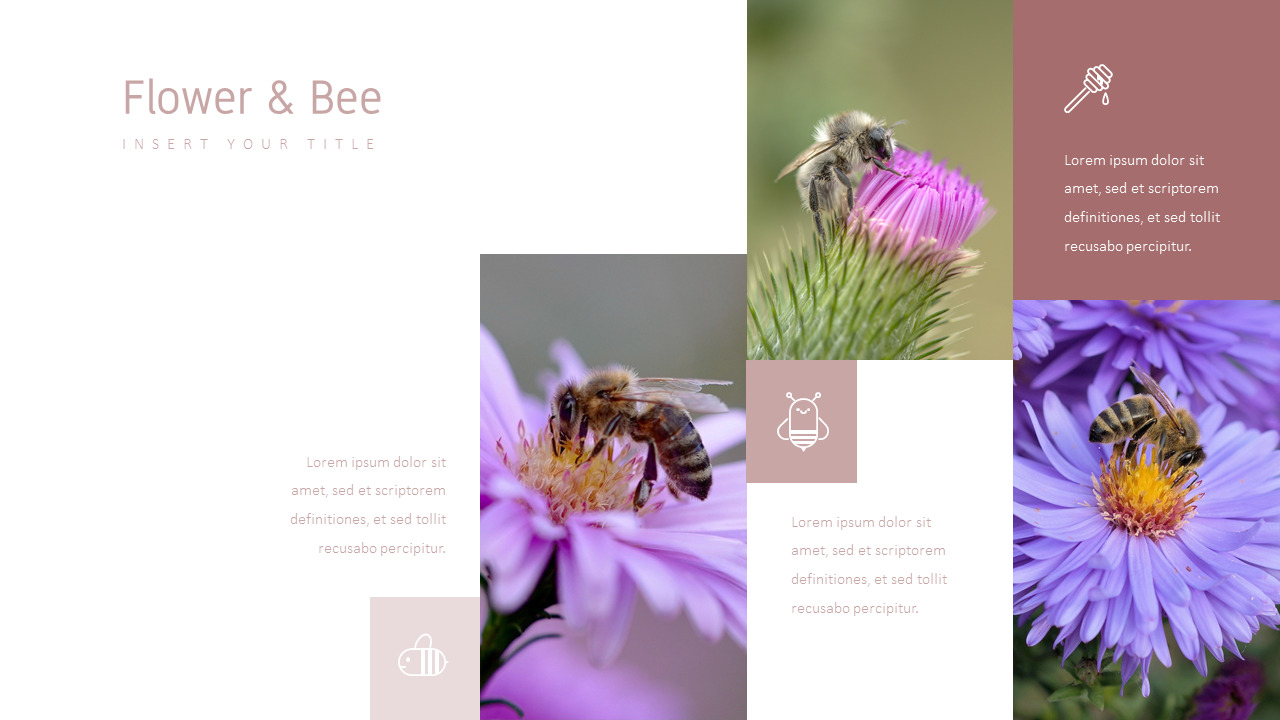 Flower & Bee company profile template design|Lifestyle|PPT