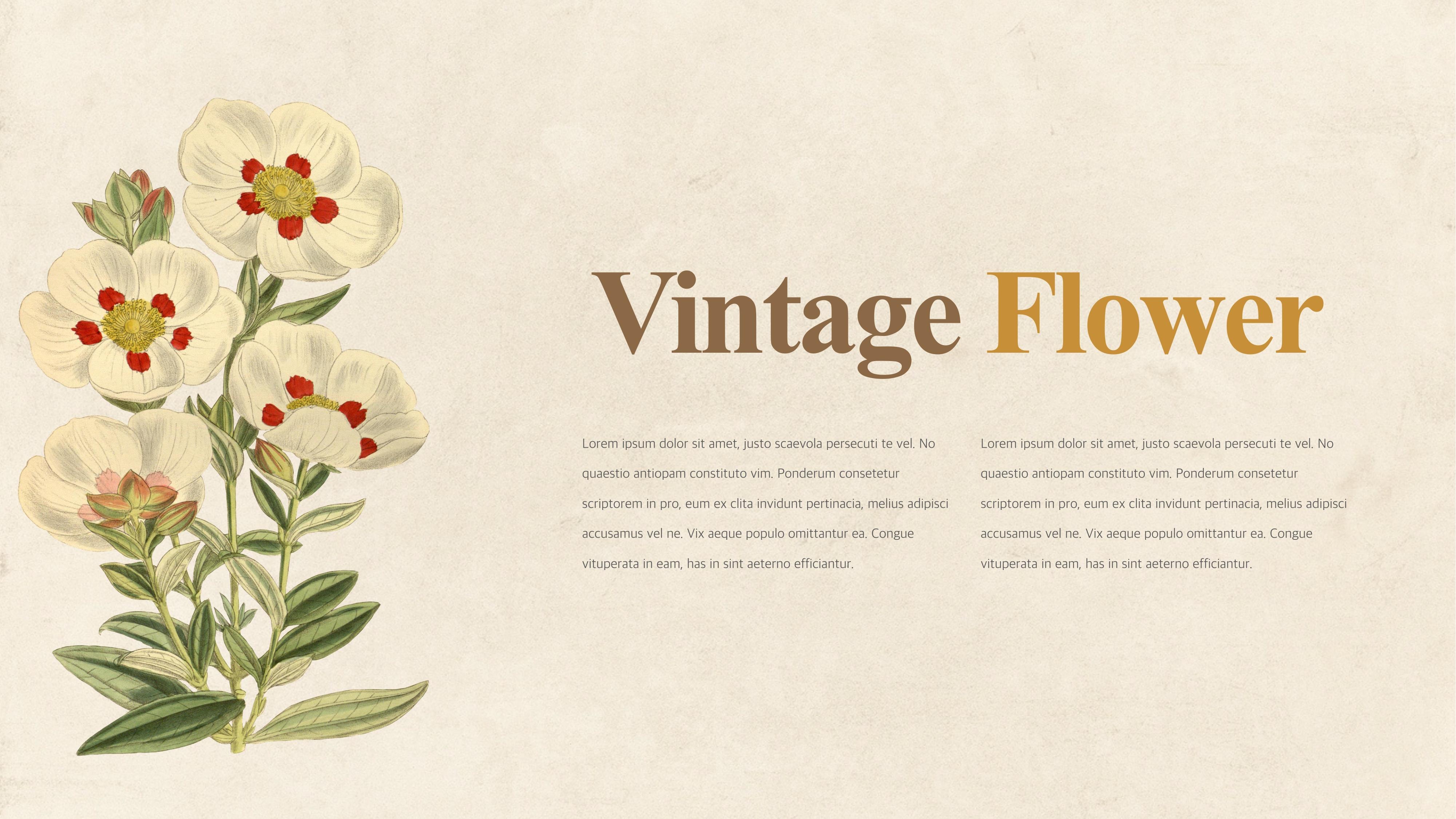 Vintage Flower presentation slide design|Lifestyle|Keynote