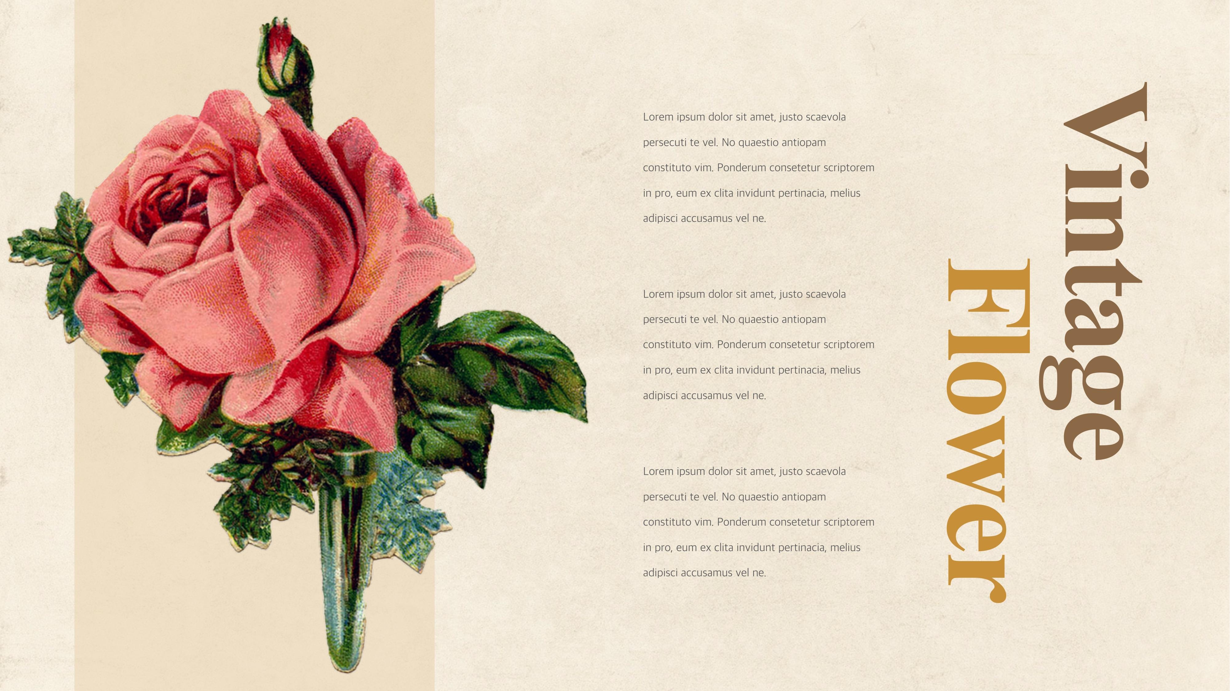 Vintage Flower presentation slide design|Lifestyle|Keynote
