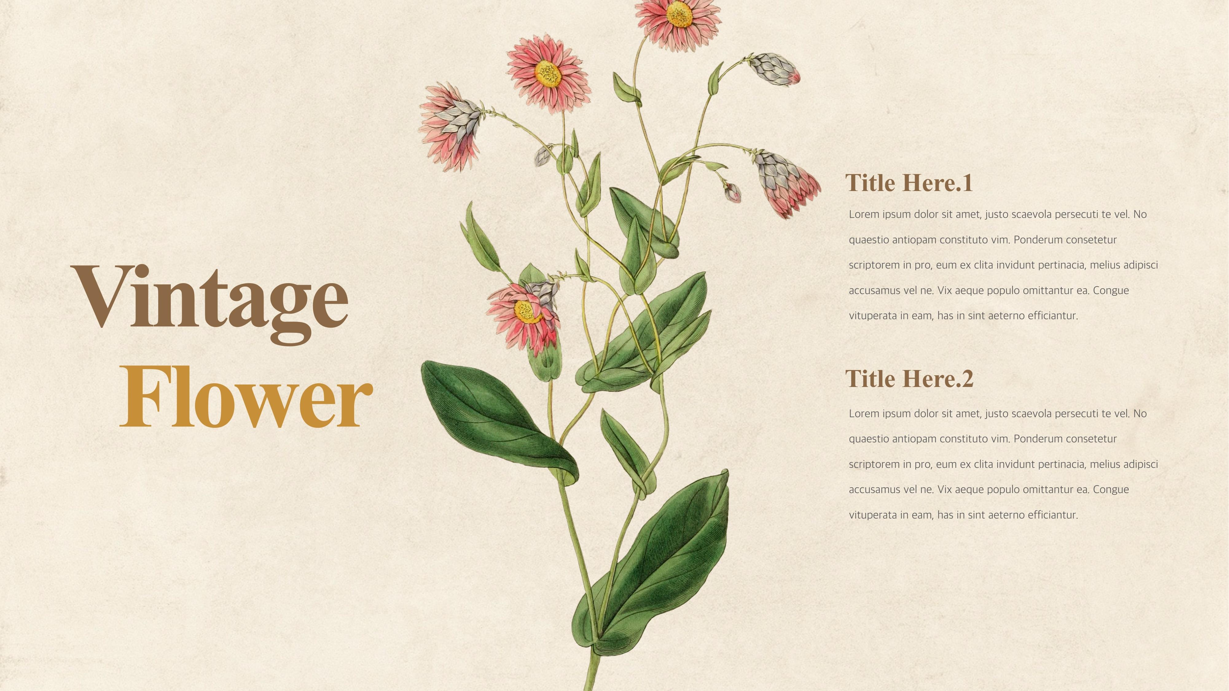 Vintage Flower presentation slide design|Lifestyle|Keynote