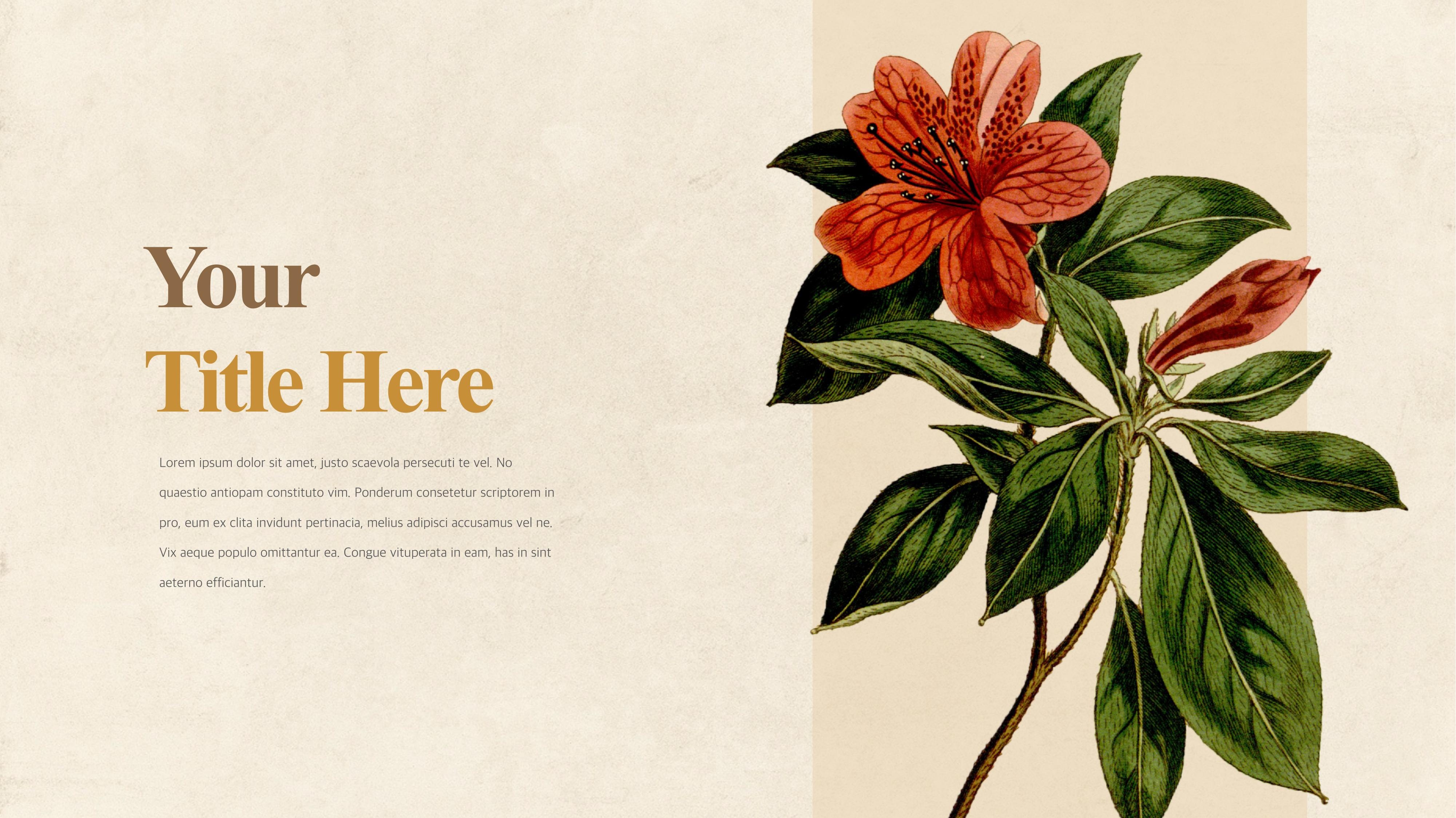 Vintage Flower presentation slide design|Lifestyle|Keynote
