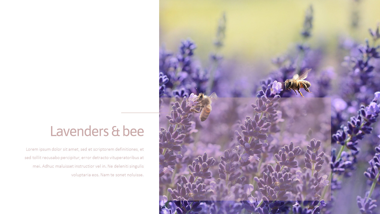 Flower & Bee Google Slides|Lifestyle