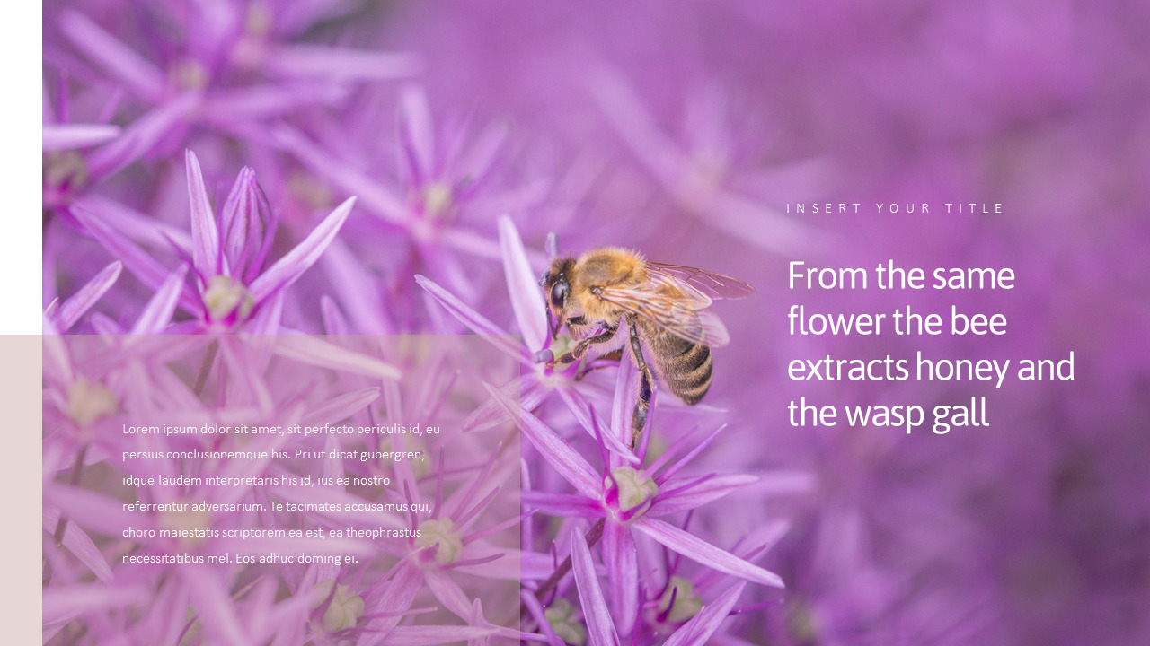 Flower & Bee Google Slides|Lifestyle