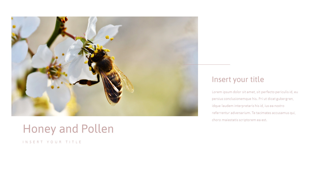 Flower & Bee Google Slides|Lifestyle