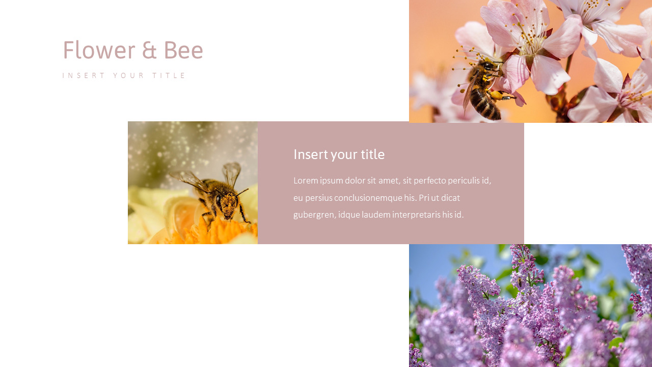 Flower & Bee Google Slides|Lifestyle