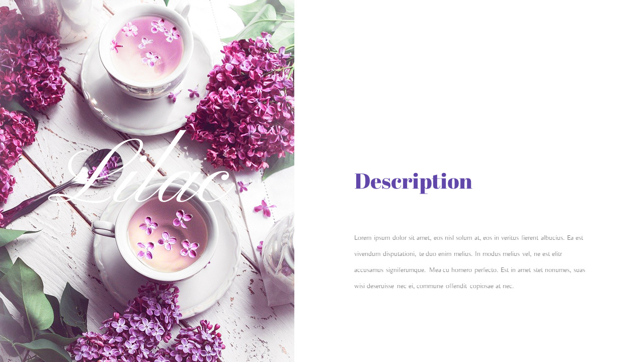 Lilac PPT Slides|Lifestyle|Templates