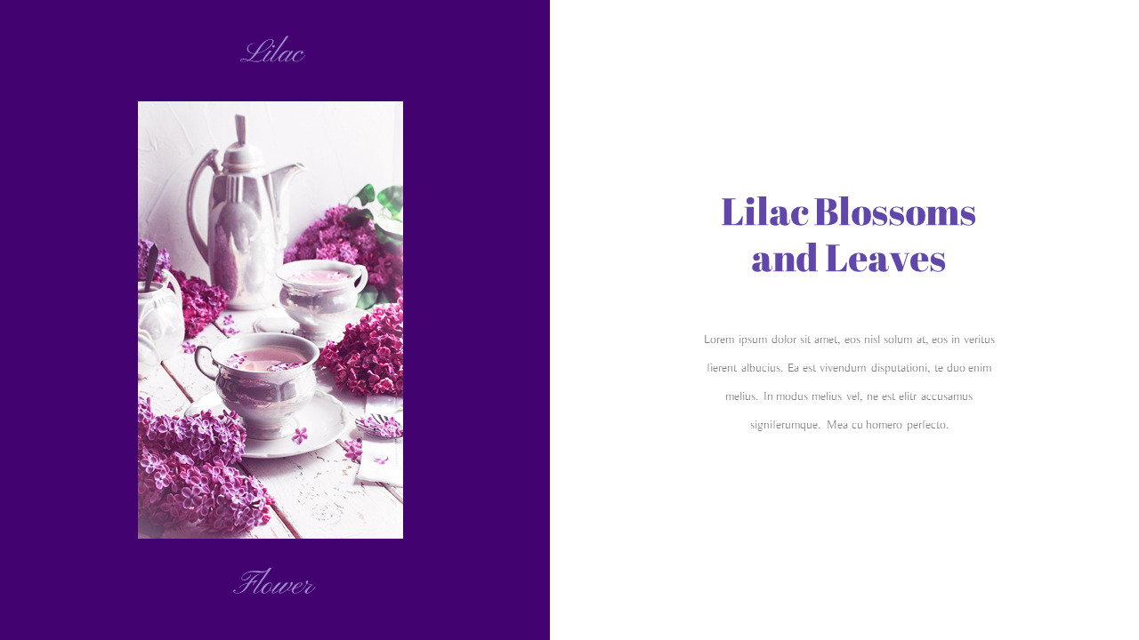 Lilac PPT Slides|Lifestyle|Templates