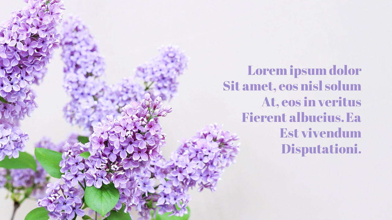 Lilac PPT Slides|Lifestyle|Templates