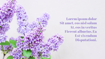Lilac PPT Slides|Lifestyle|Templates