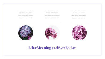 Lilac PPT Slides|Lifestyle|Templates