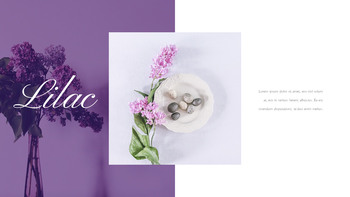 Lilac PPT Slides|Lifestyle|Templates