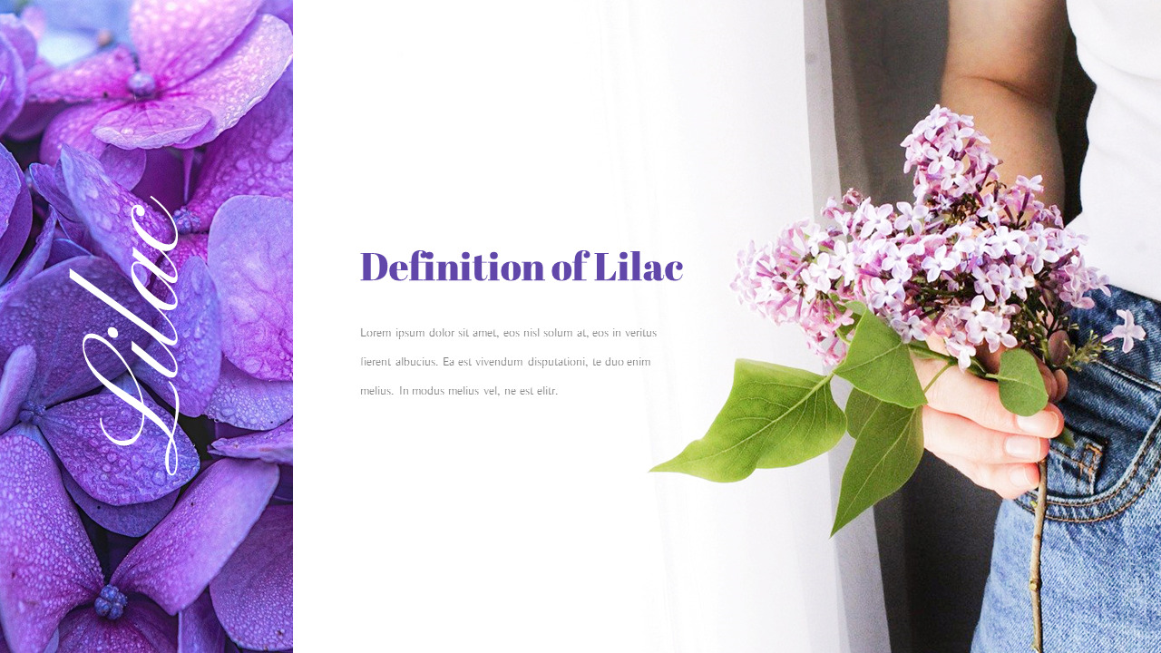 Lilac PPT Slides|Lifestyle|Templates