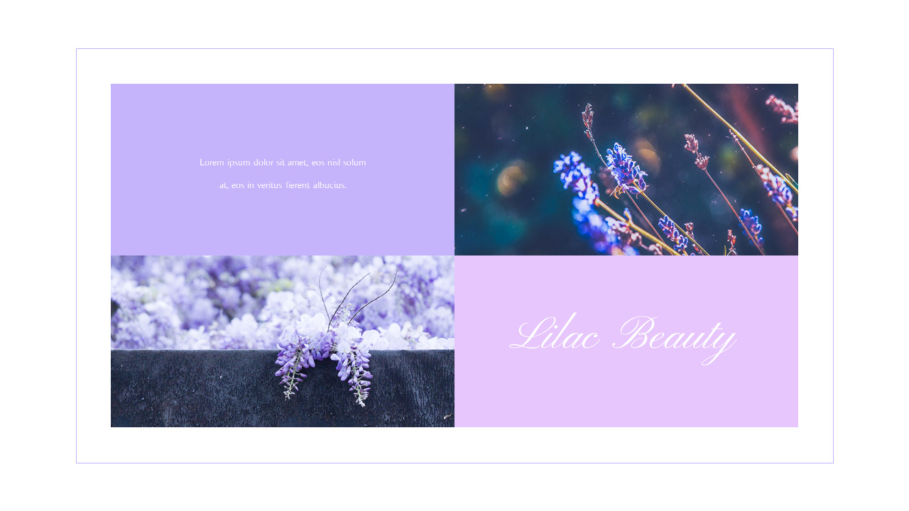 Lilac PPT Slides|Lifestyle|Templates