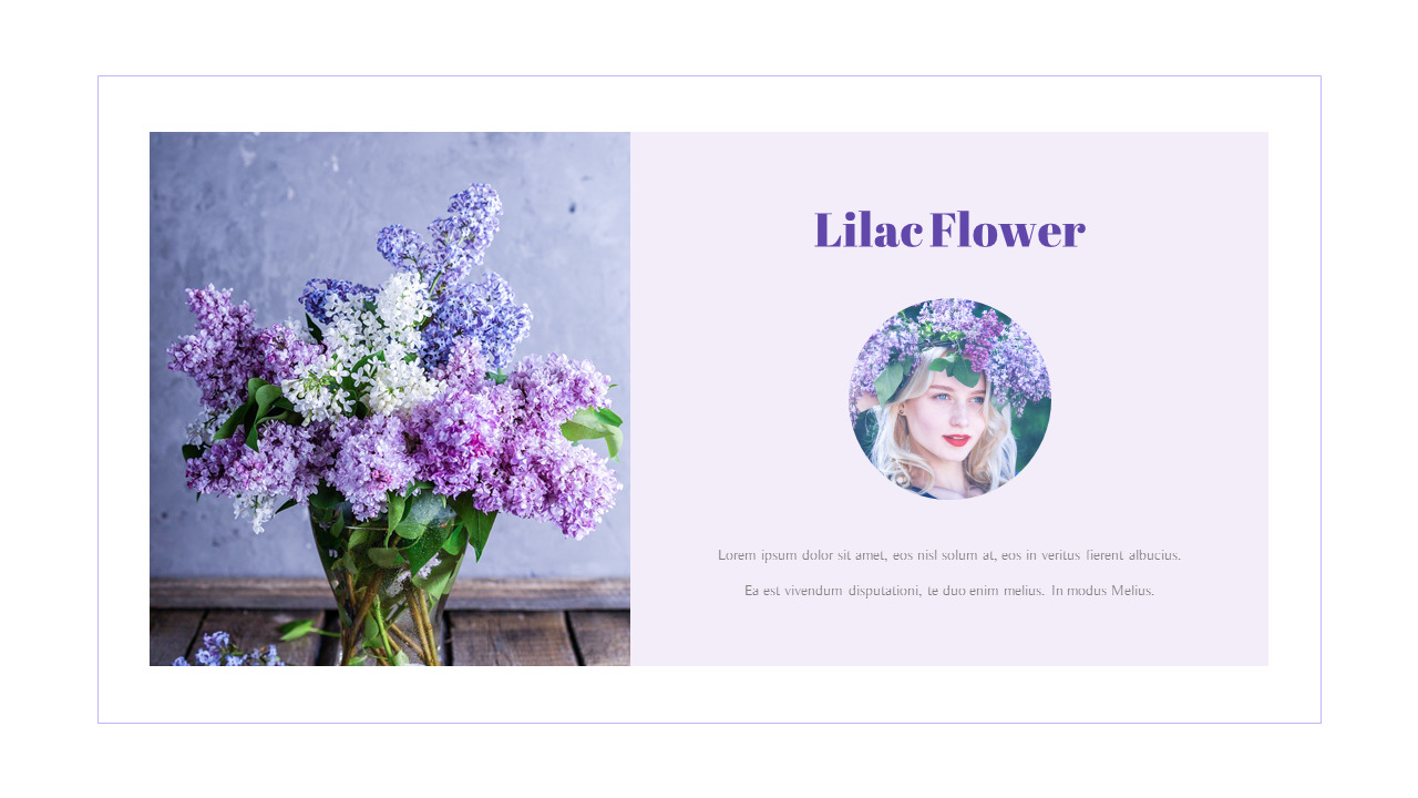 Lilac PPT Slides|Lifestyle|Templates