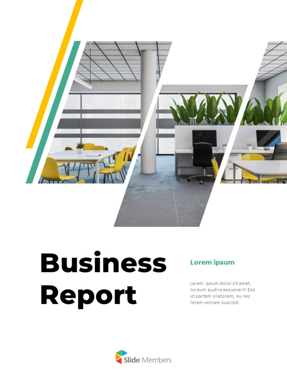 Professional Business Report Presentation