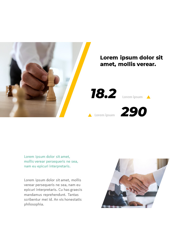 Professional Business Report Presentation