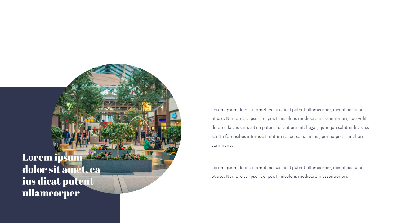 Shopping Mall PowerPoint Presentations|IT/Commerce|Templates