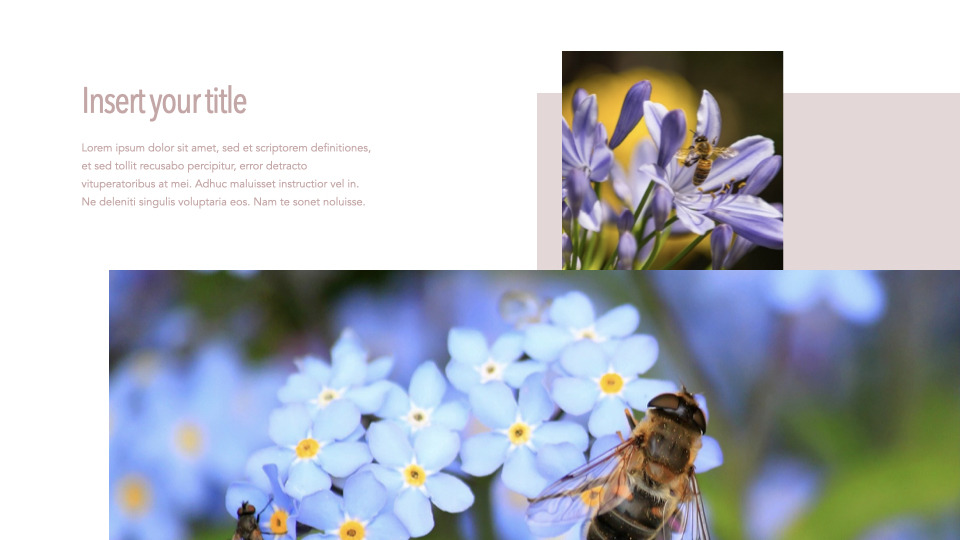 Flower & Bee Microsoft Keynote|Lifestyle