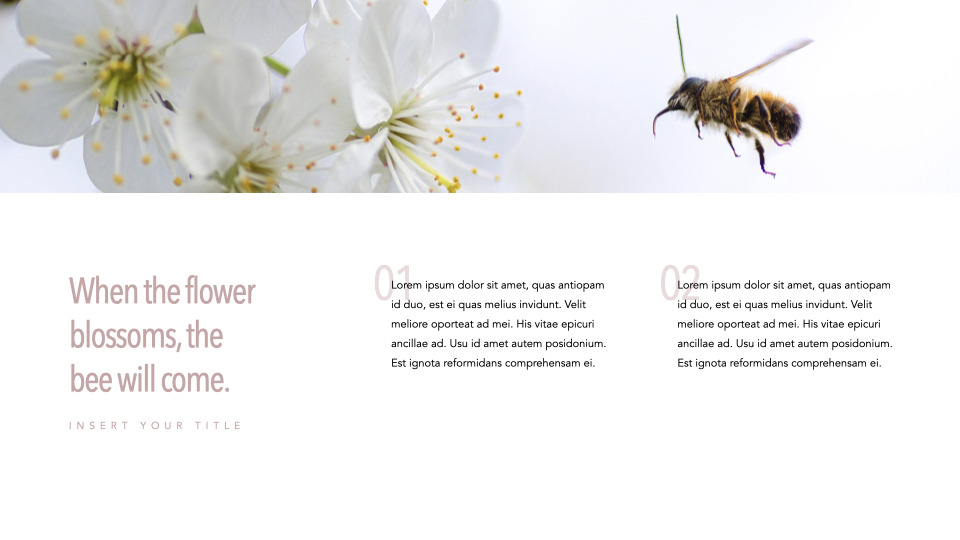 Flower & Bee Microsoft Keynote|Lifestyle