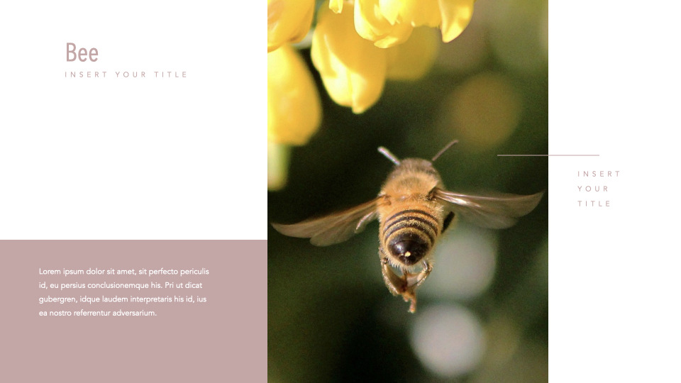 Flower & Bee Microsoft Keynote|Lifestyle