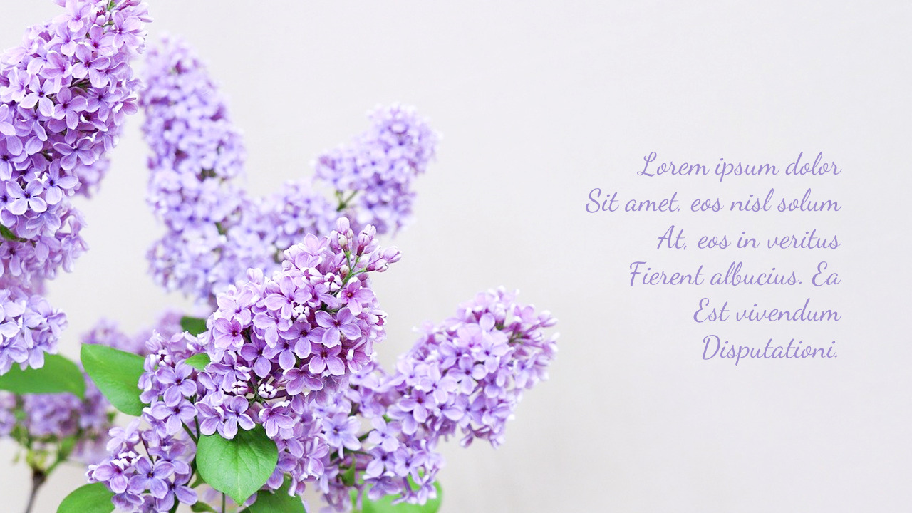 Lilac Google Slides Presentation Templates|Lifestyle