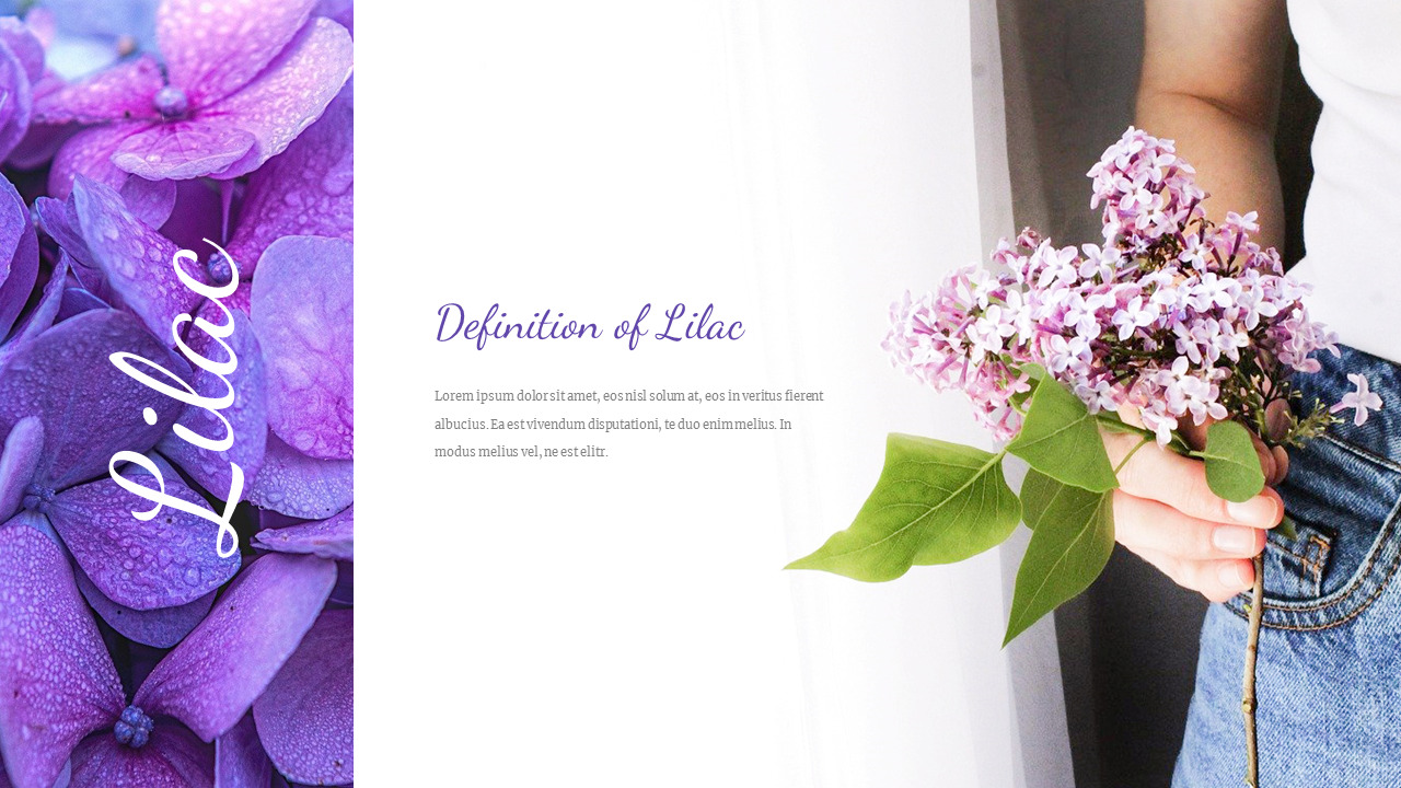 Lilac Google Slides Presentation Templates|Lifestyle