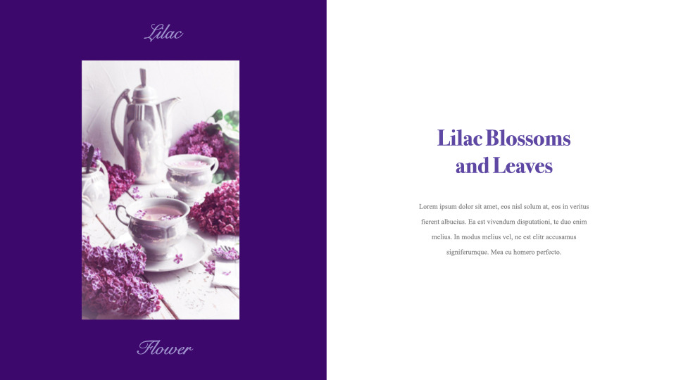 Lilac Keynote PowerPoint|Lifestyle