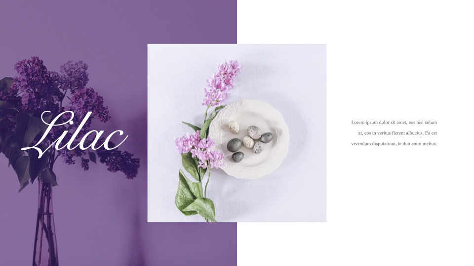 Lilac Keynote PowerPoint|Lifestyle