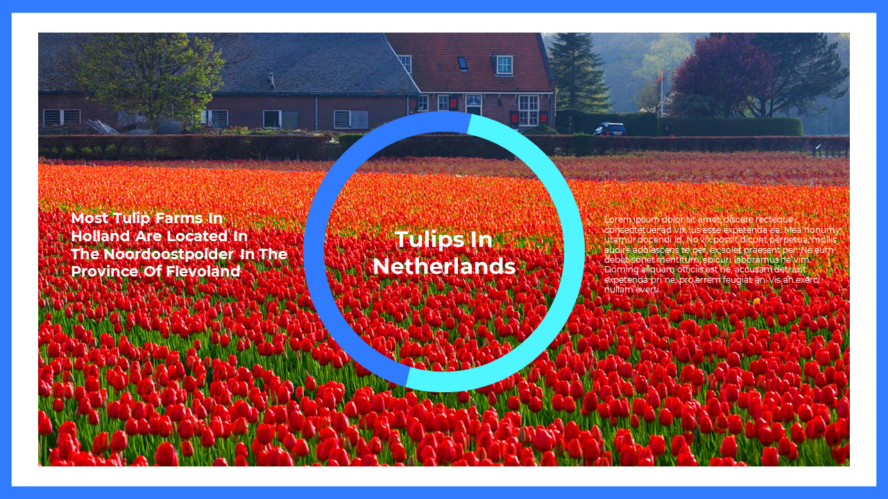 Netherlands Google Slides Themes & Templates|Lifestyle
