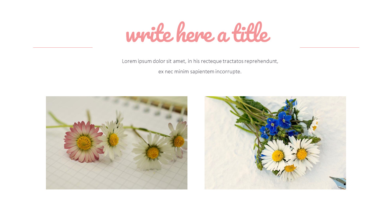 Daisy Google Slides Themes|Lifestyle