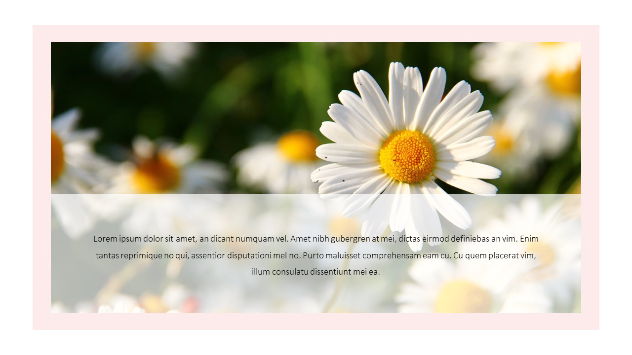 Daisy Google Slides Themes|Lifestyle