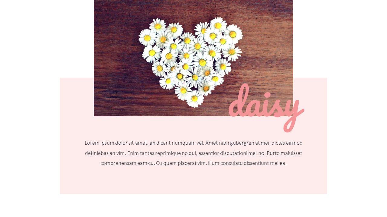 Daisy Google Slides Themes|Lifestyle